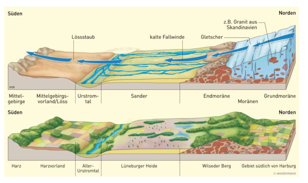 Se promener dans la Behringer Heide (Lüneburger Heide) | 3 kleine ...